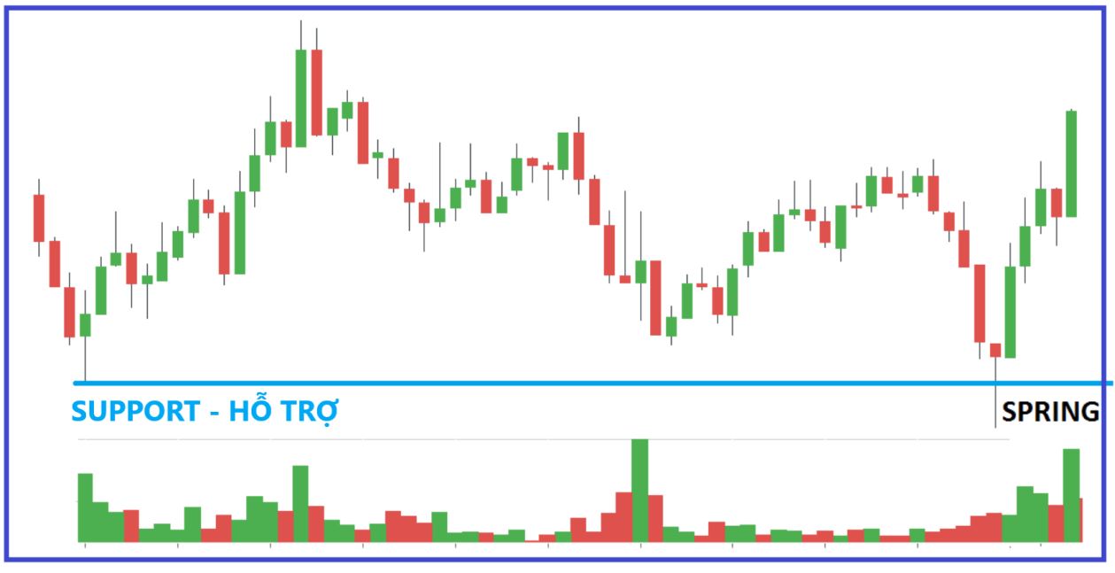 Chiêu thức Forex Upthrust - Spring là gì?